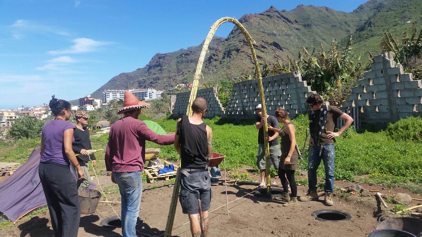 Seva / Volunteering - Serene Light Gardens